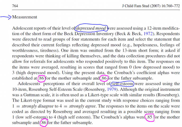 Variable Manipulation And Reliability Check Using Stata Statistical Aid